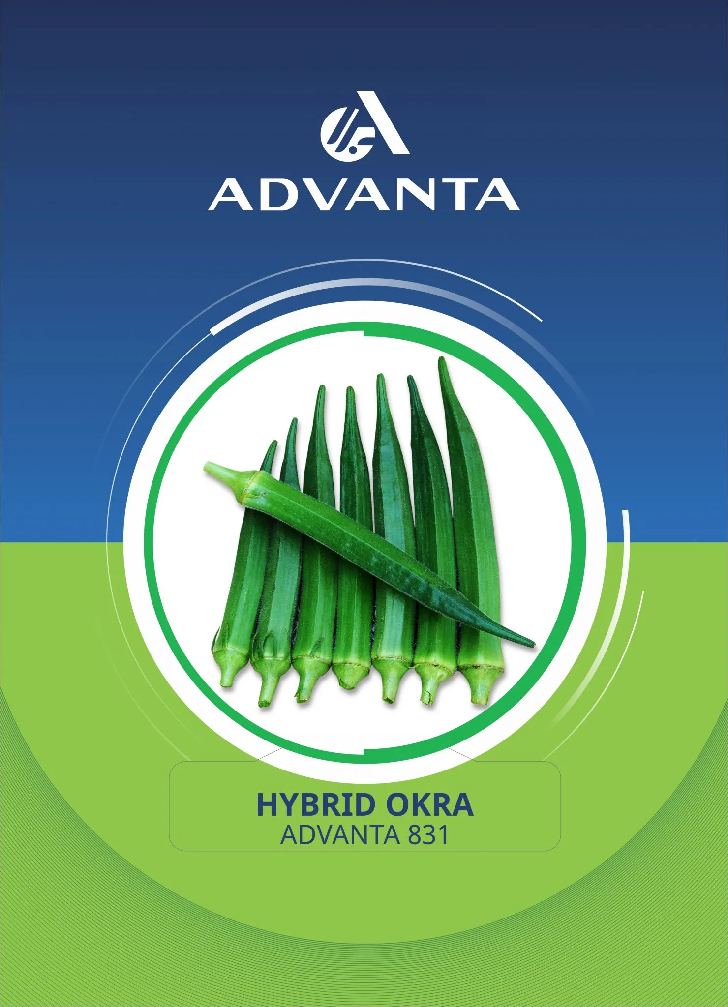 Advanta 831 Hybrid Okra Seeds 10g - Plantssouq