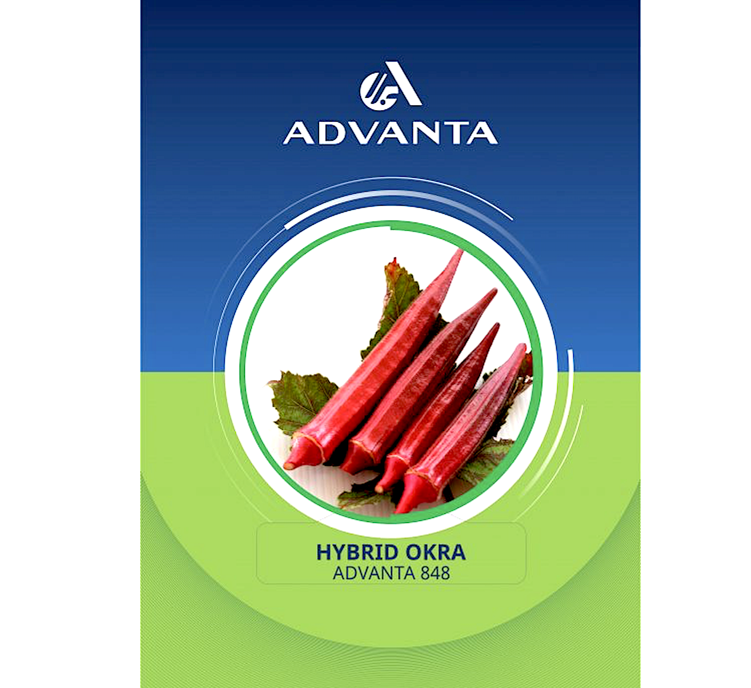 Advanta 848 Hybrid Okra Seeds 10g - Plantssouq