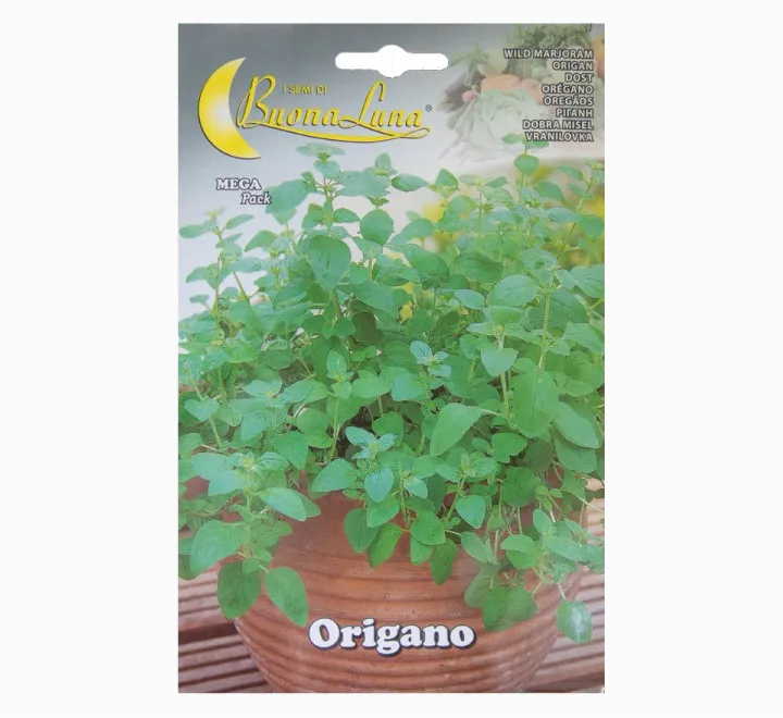 Origano Seeds - Plantssouq