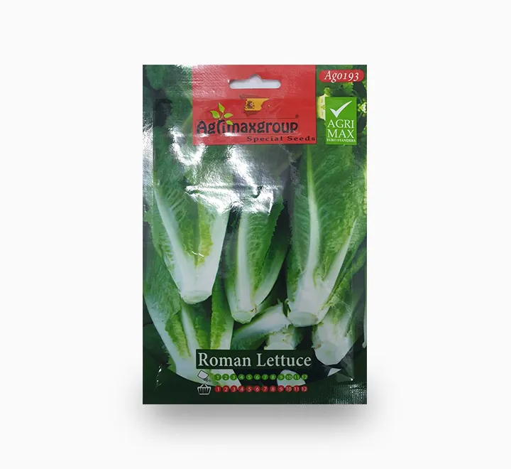 Roman Lettuce Agrimax Seeds - Plantssouq