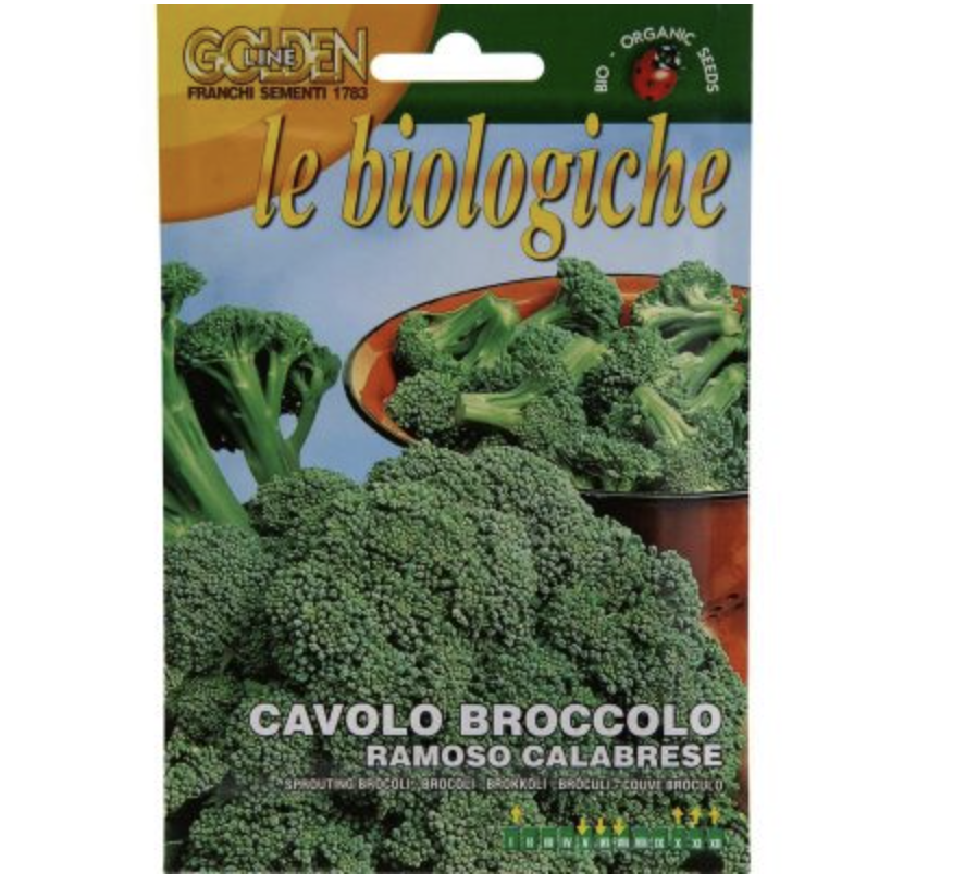 Sprouting Broccoli “Cavolo Broccolo Ramoso Calabrese” Organic Seeds by ...