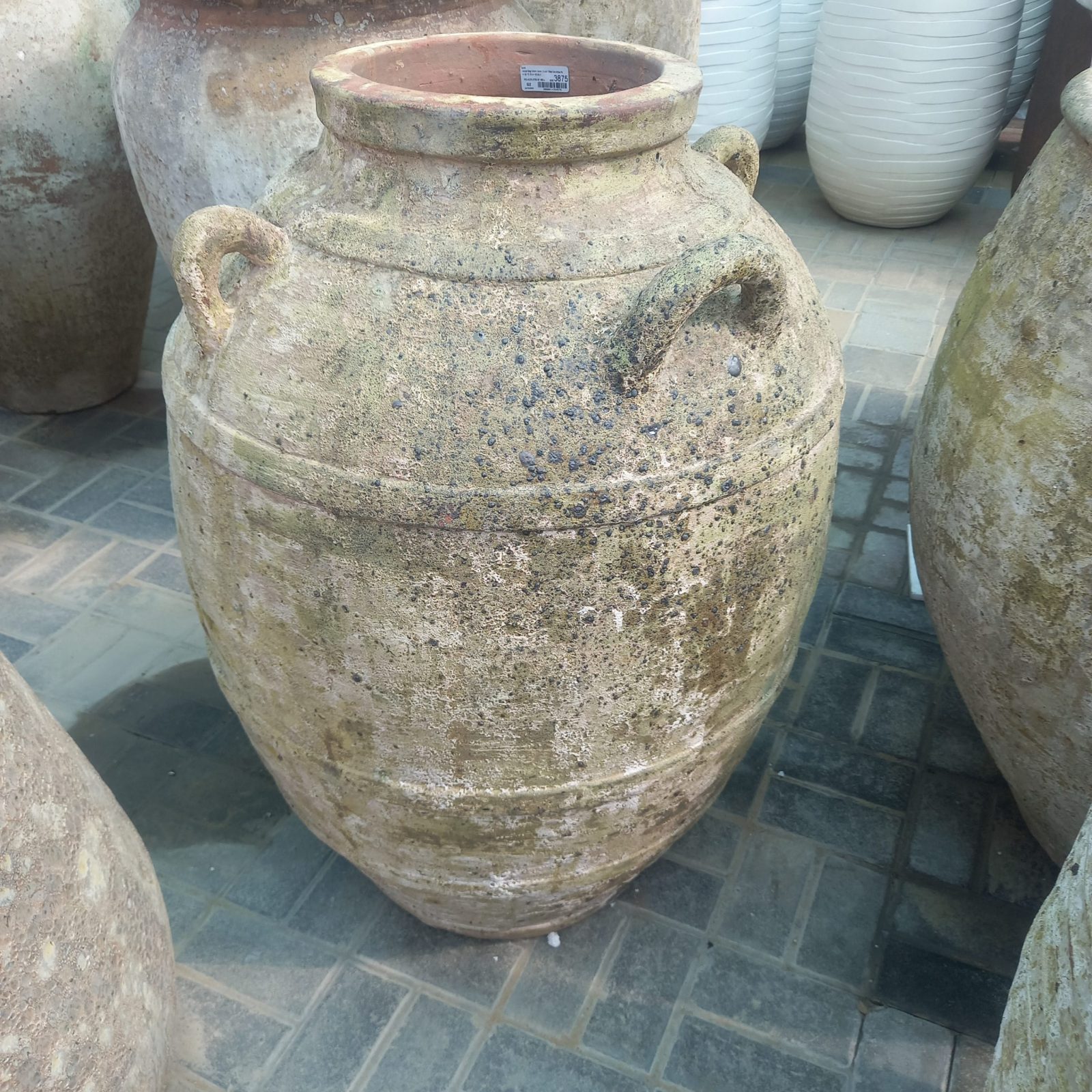 Ancient Beige Ceramic pot – plantssouq